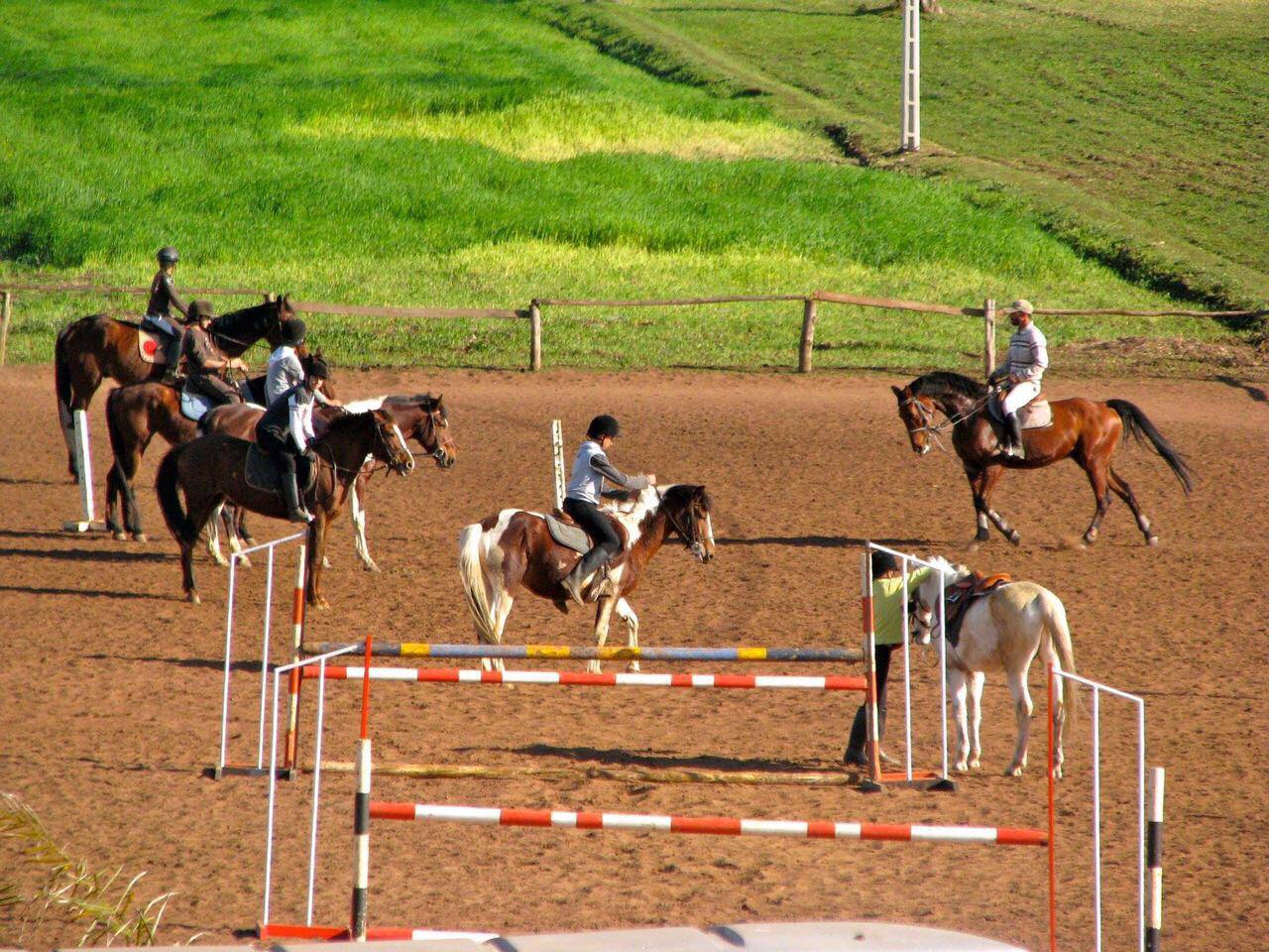 Royal Club Équestre MENZEH | Temara City